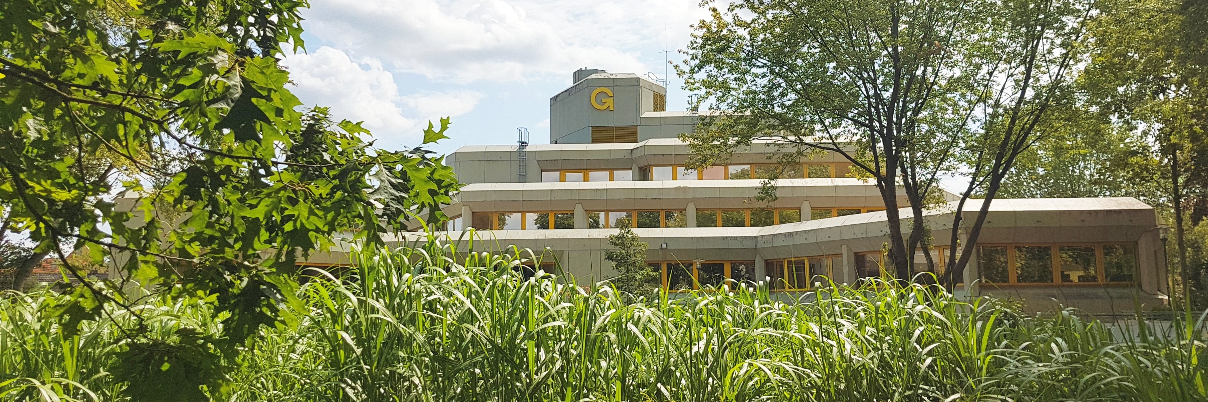 Kontakt | Stadt Gronau